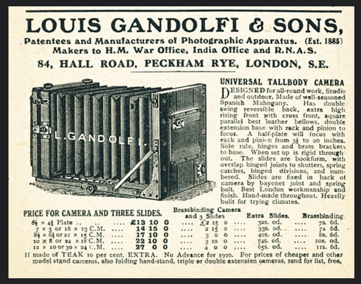 Harry Burton. The man who shot Tutankhamun. | peterdbarton.com